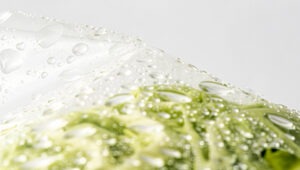 Plain Flexible Packaging Films | Terinex Flexibles