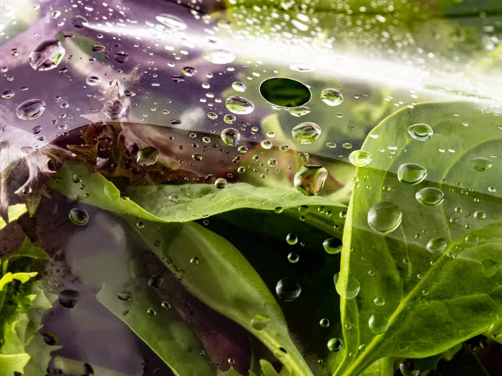 Keeping food fresh with flexible packaging | Terinex Flexibles